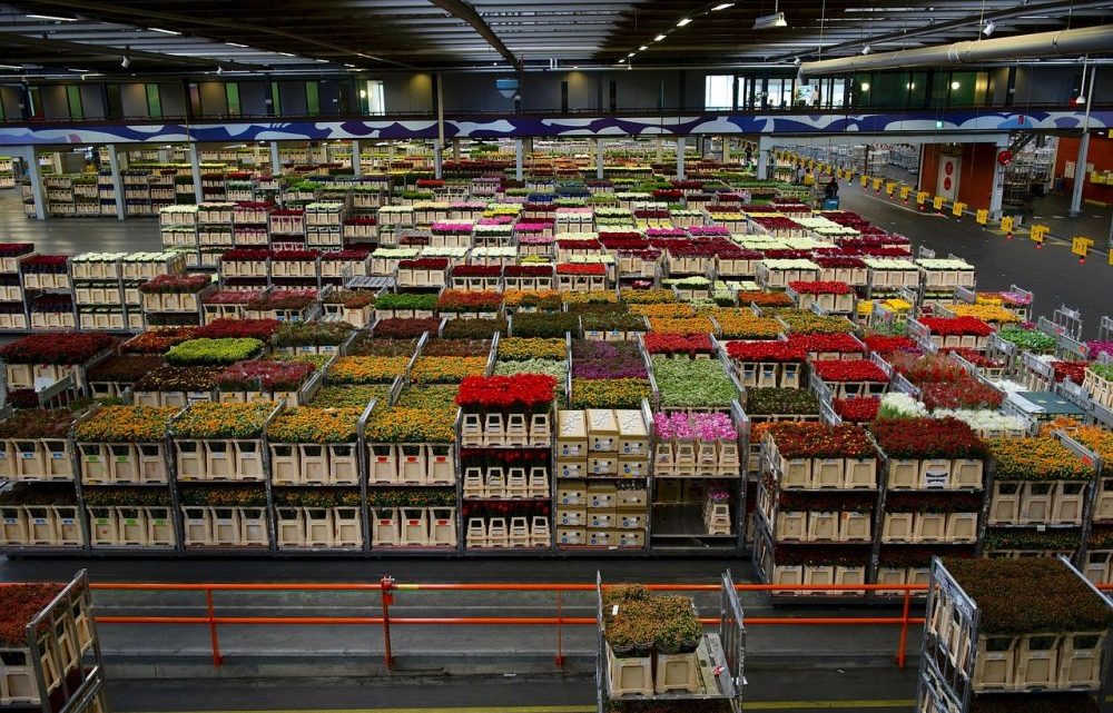 Lagerarbete för proffs i Varberg - entredjehand.se